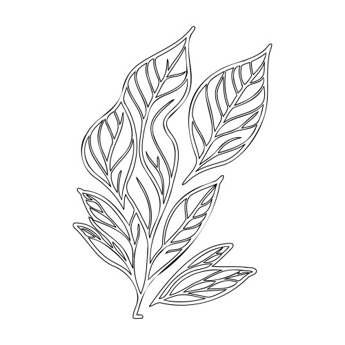 Lilac leaf floral outline sketch Royalty Free Vector Image