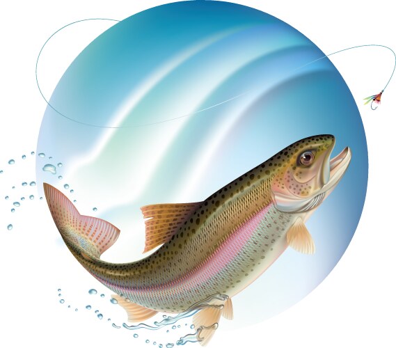 Trout Vector Images (over 13,000)