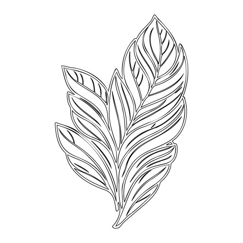 Lilac leaf floral outline sketch Royalty Free Vector Image