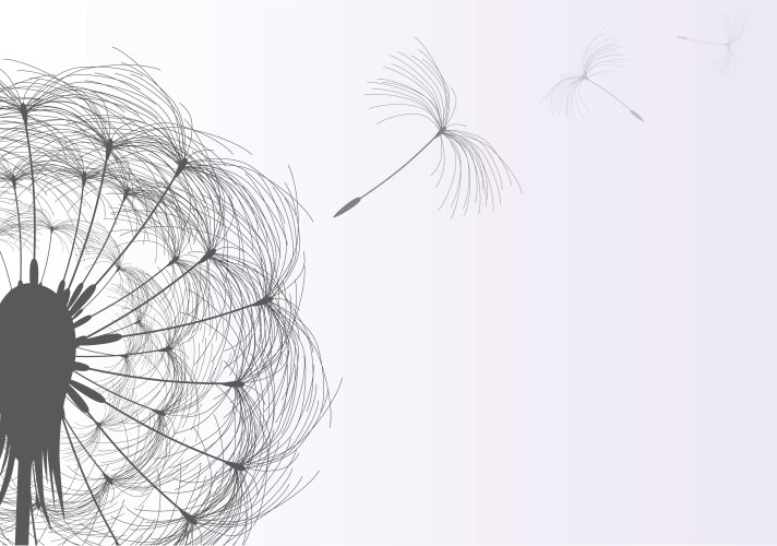 Dandelion Vector Images (over 14,000)