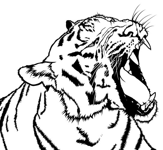 Tiger Outline Vector Images (over 12,000)