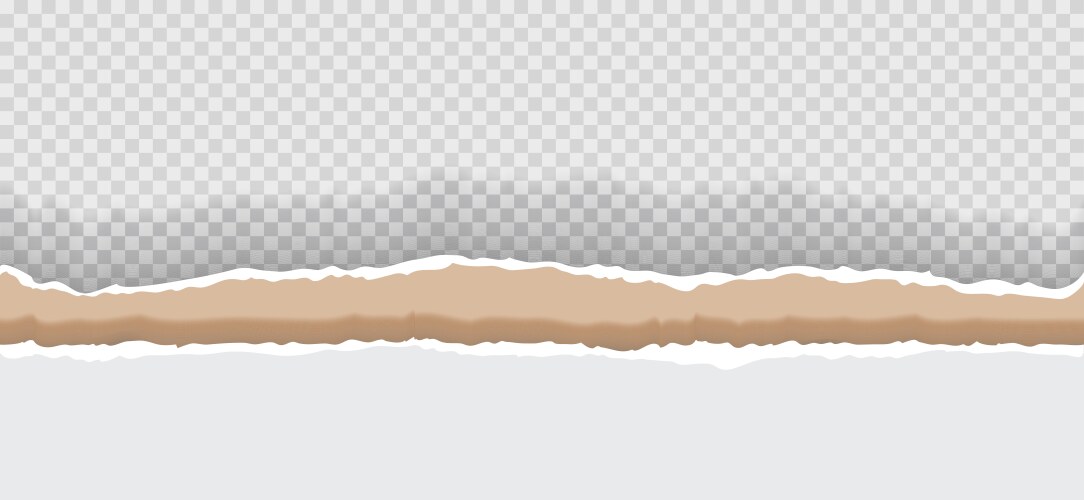 Torn a half sheet of white paper from the bottom Vector Image