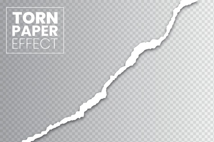 Coming soon ripped torn paper roll on transparent Vector Image