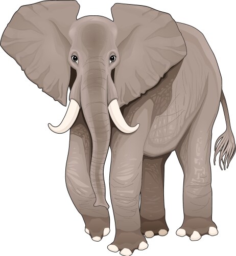 Elephant Vector Images (over 76,000)