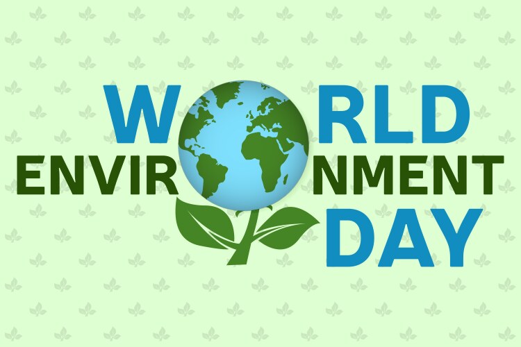 Earth day ecological infographic template design Vector Image