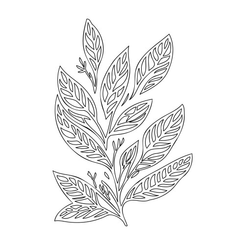 Lilac leaf floral outline sketch Royalty Free Vector Image