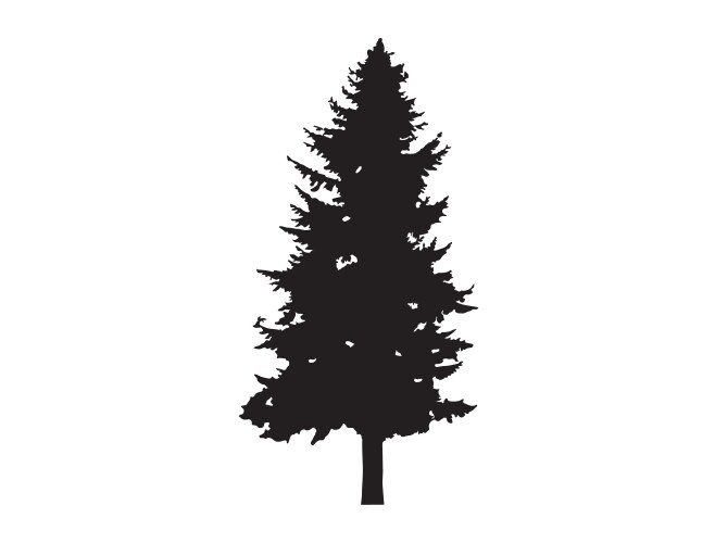 Pine tree Royalty Free Vector Image - VectorStock