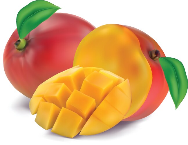 Mango Vector Images (over 22,000)