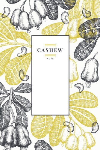 Hand drawn sketch cashew design template organic Vector Image
