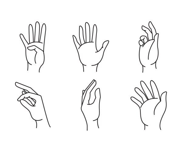 Hand gestures set Royalty Free Vector Image - VectorStock