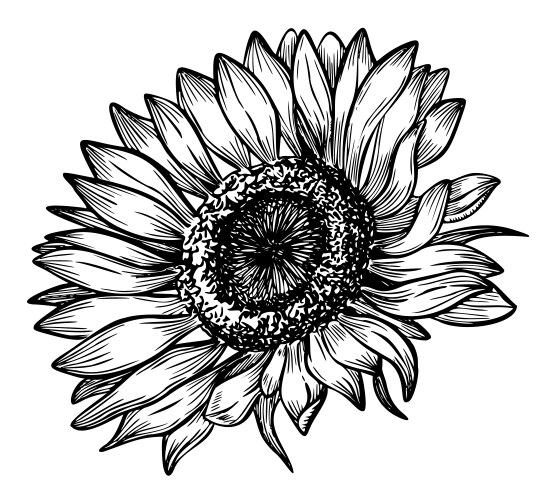 Floral background in spring colors flowers Vector Image