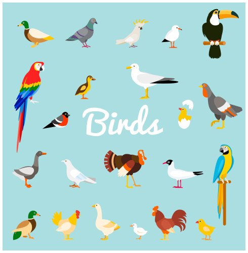 Birds Vector Images (over 620,000)