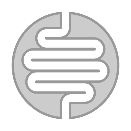 Digestive system and intestines concept Royalty Free Vector