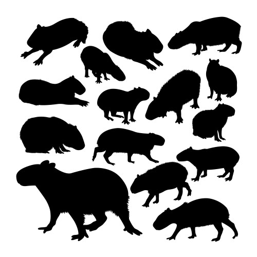 Capybara Vector Images (over 3,900)