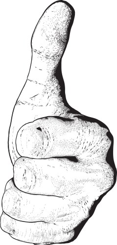 Like Vector Images (over 200,000)