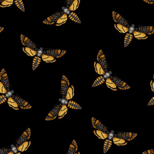 Death Head Moth Vector Images (over 470)