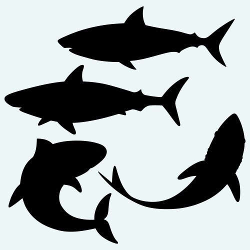 Shark Vector Images (over 31,000)