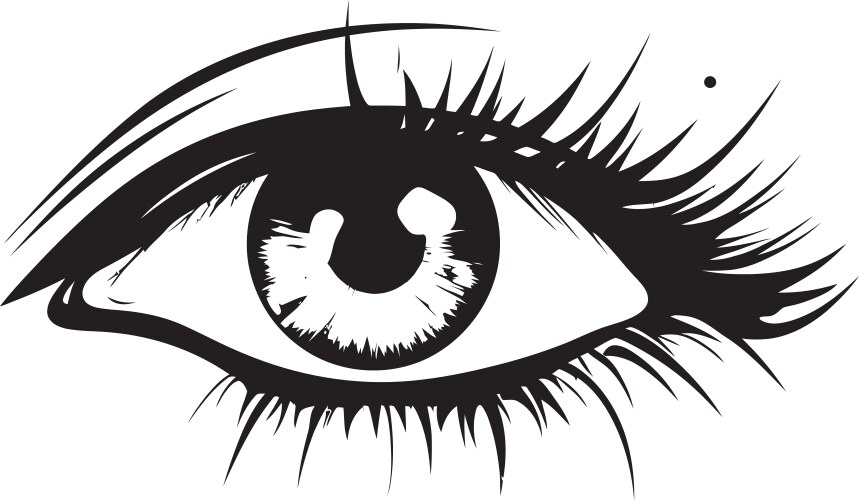 Eyes and evolutionary adaptations how vision has Vector Image