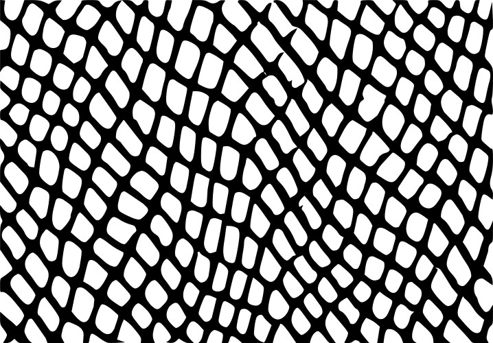 Black Cobra Skin Snake Texture Vector Images (over 500)