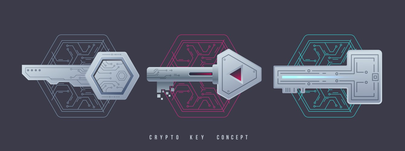 Crypto keys management icons digital graphic Vector Image