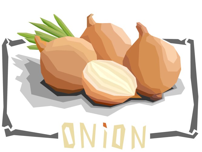 Onion Vector Images (over 59,000)