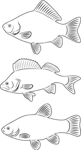 Freshwater Fish Vector Images (over 13,000)