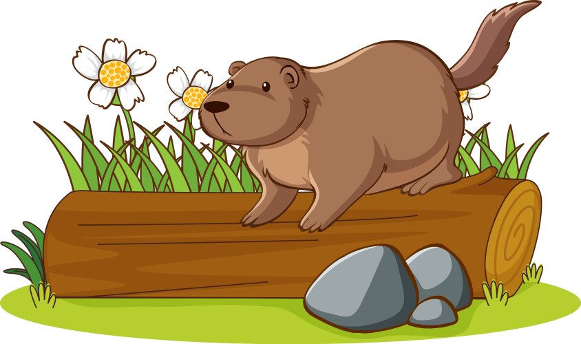 Groundhog Clipart Vector Images (over 330)