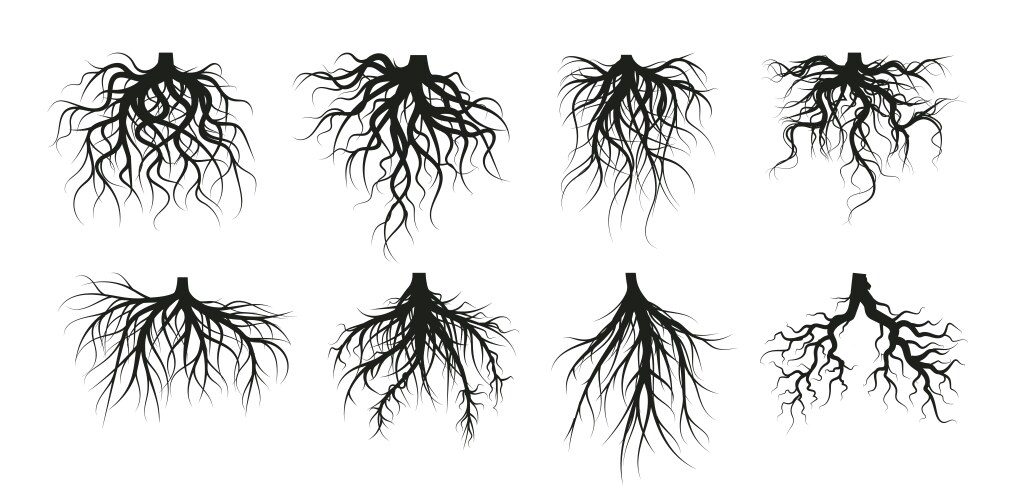 Set tree roots outline plant Royalty Free Vector Image