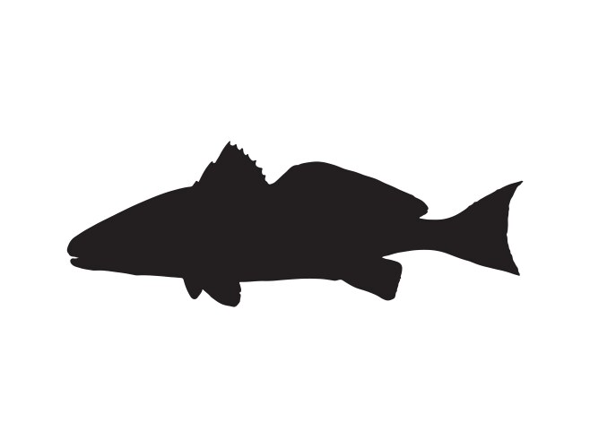 Silhouette of cod fish Royalty Free Vector Image