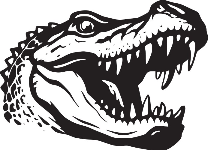 Florida Gators Vector Images (over 300)