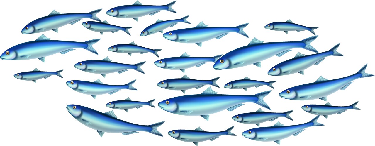 School Fish Vector Images (over 8,500)