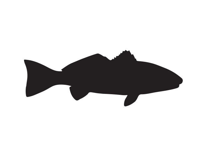 Hand drawn of fish Royalty Free Vector Image - VectorStock