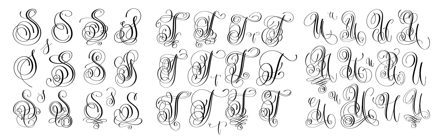 Calligraphy lettering script font a set hand Vector Image