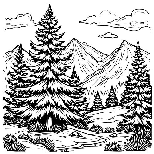 Sequoia tree coloring page design Royalty Free Vector Image
