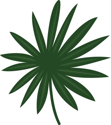 Areca Leaf Tree Vector Images (over 410)