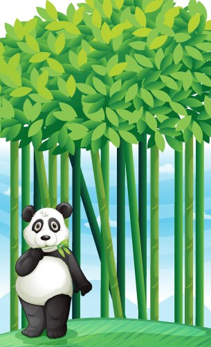 Two pandas in bamboo forest Royalty Free Vector Image