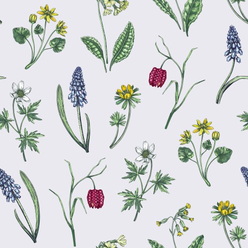Spring flowers seamless pattern wildflowers Vector Image
