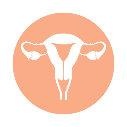Ovary icon logo symbol Royalty Free Vector Image