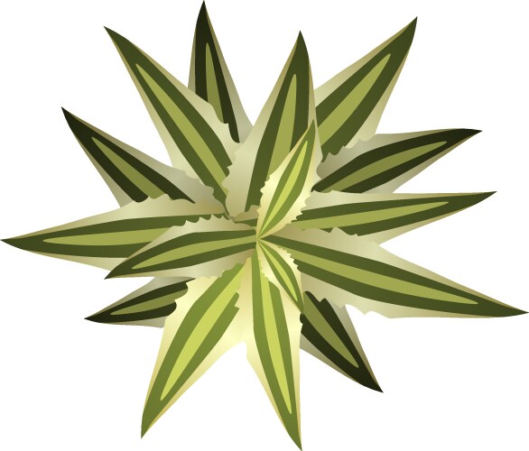Top view plants easy copy paste in your landscape Vector Image