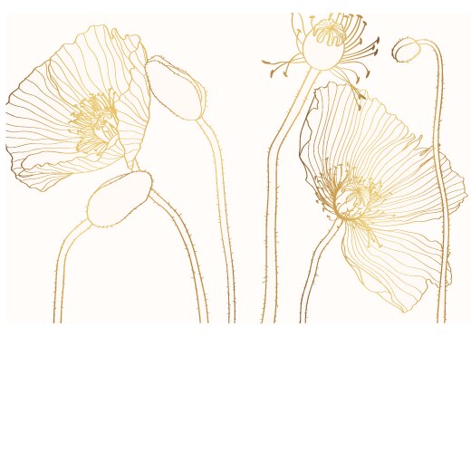 Poppy Flower Vector Images (over 19,000)