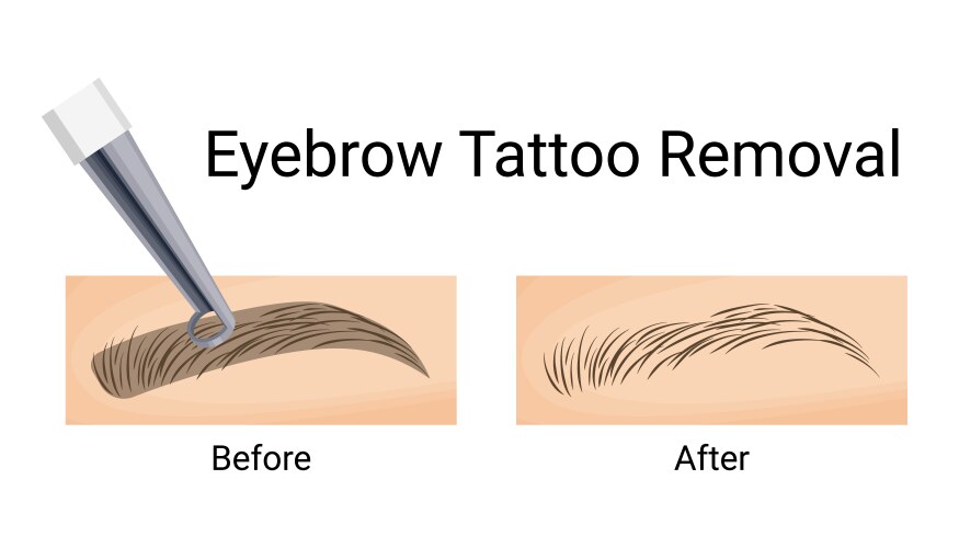 Eyebrow Coloring Transformation Before And After Vector Image