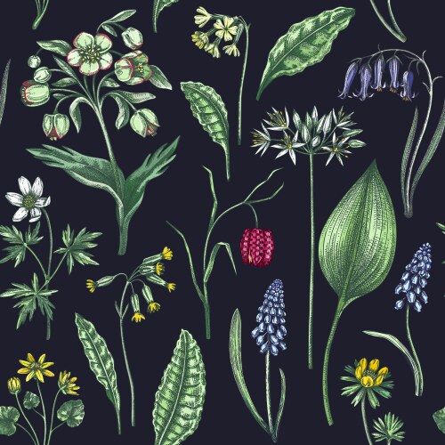Spring flowers seamless pattern wildflowers Vector Image
