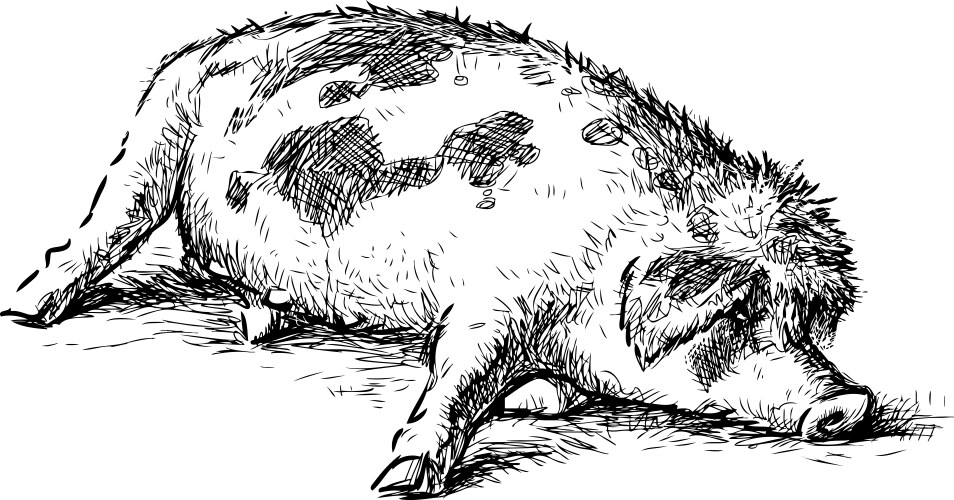 Fat pig engraving sketch Royalty Free Vector Image