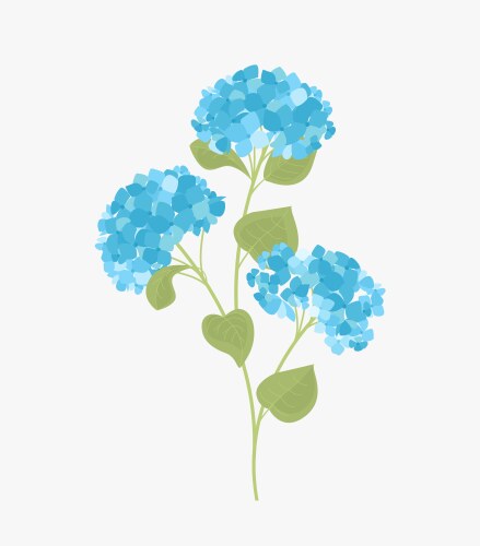 Hydrangea realistic set Royalty Free Vector Image