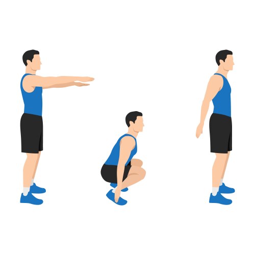 Man doing single leg squat pistol squats exercise Vector Image