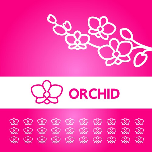 Orchid design Royalty Free Vector Image - VectorStock