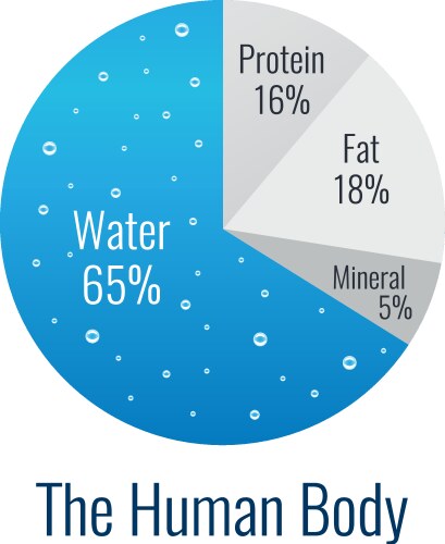 Human Body Vector Images (over 260,000)