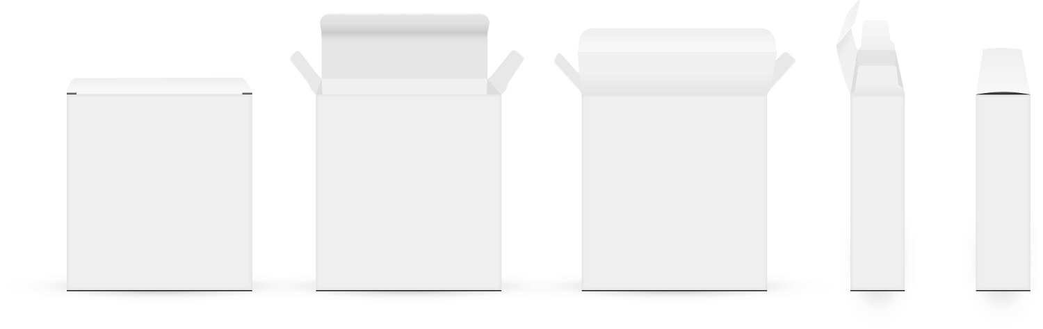 Blank tall paper rectangular packaging boxes Vector Image