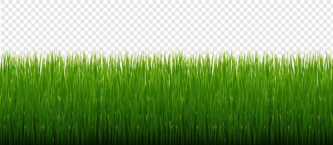 Long Grass Vector Images (over 4,800)