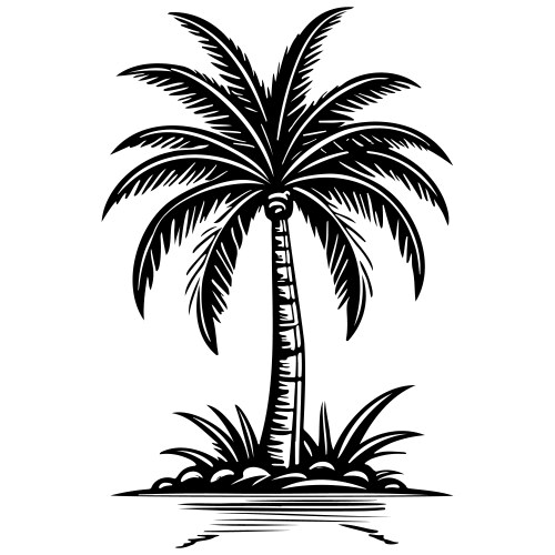 Cartoon palm tree hand drawn line transparent Vector Image